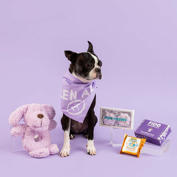 Zen AF Fizzy Fun Pack Gift Set Anti-Anxiety Fragrance – Fido Fizzies